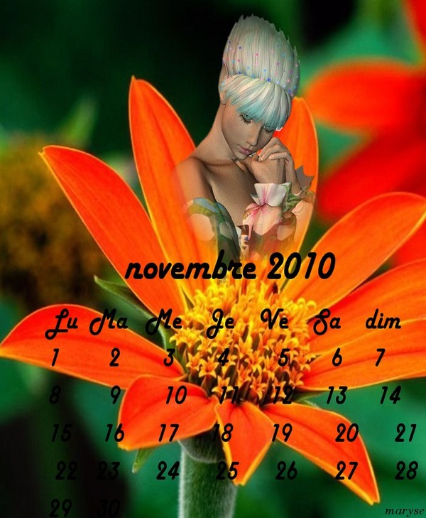 calendrier de novembre 2010 calendrier de novembre 2010